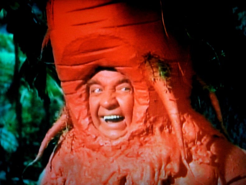 5 Interesting Facts You Probably Didn't Know Yet - WORLD OF BUZZ