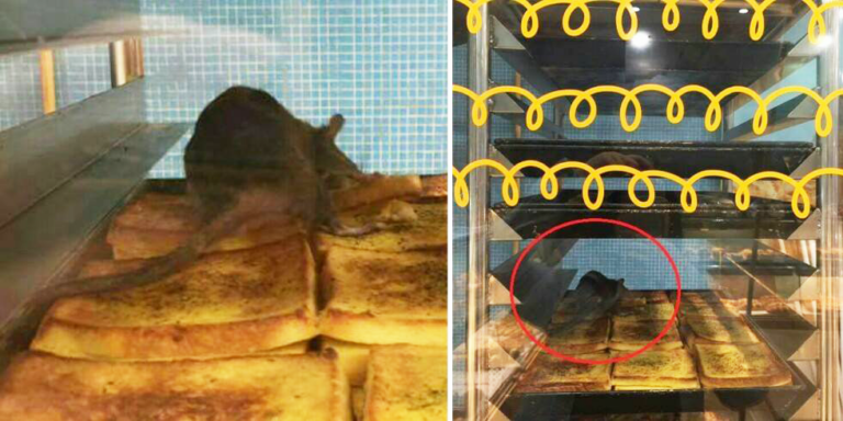 Famous Bakery In Mid Valley Causes Public Outrage After Rat Was ...