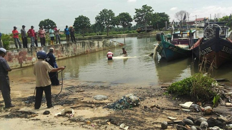 Endangered Whale Shark Surprises Malaysians As It Appears At Malacca's ...
