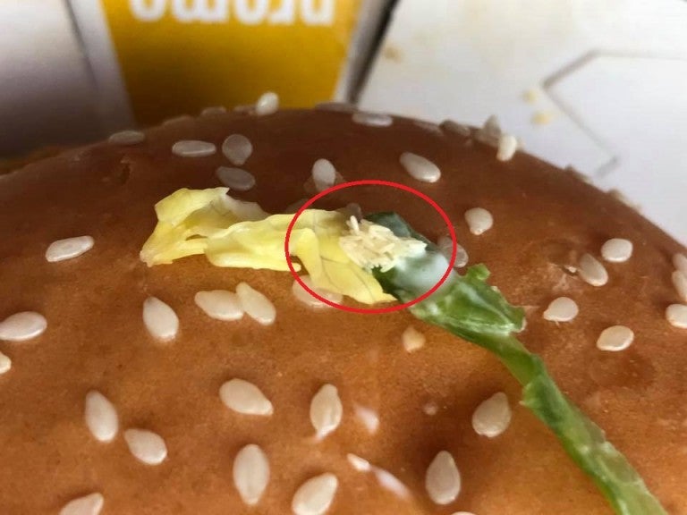 Maggots Found In McChicken Leaves Malaysians Aghast At McDonald's Lack ...