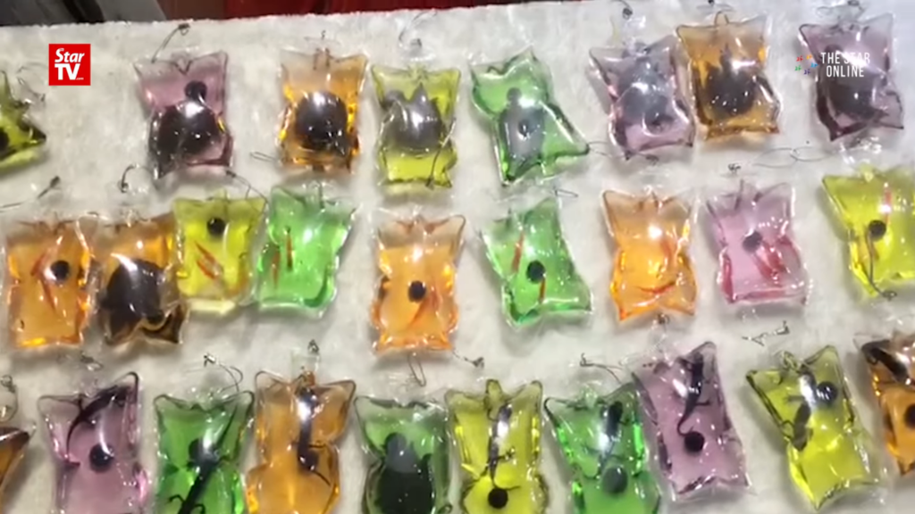 Cruel Chinese Vendors Sell LIVE Animal Keychains As Souvenirs - WORLD ...