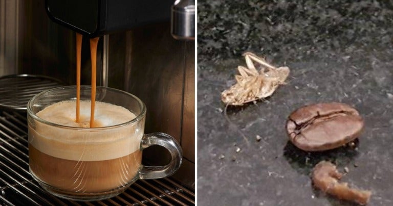 About 40% of Commercial Coffee Machines Are Reportedly Infested With ...
