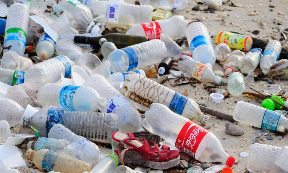 Scientists Discover New Enzyme That Could Decompose Plastic Waste ...