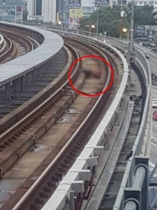 CCTV Footage Reveals Man Walking on Track Before Getting Hit by Train ...