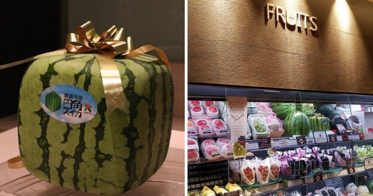 This Japanese Square Watermelon is Now Being Sold in KL, And You Won't ...