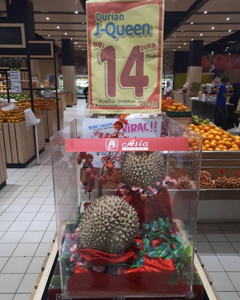 This Durian Is So Rare That It Costs RM4,000 & There's Only One Tree in ...