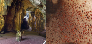 This Cave in Sabah Might Have the Most Cockroaches in the World ...