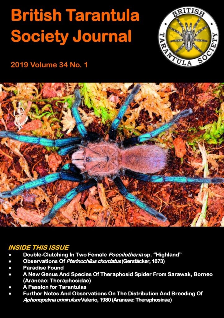 UK Scientists Accused of Smuggling Blue Tarantula Species From Sarawak ...