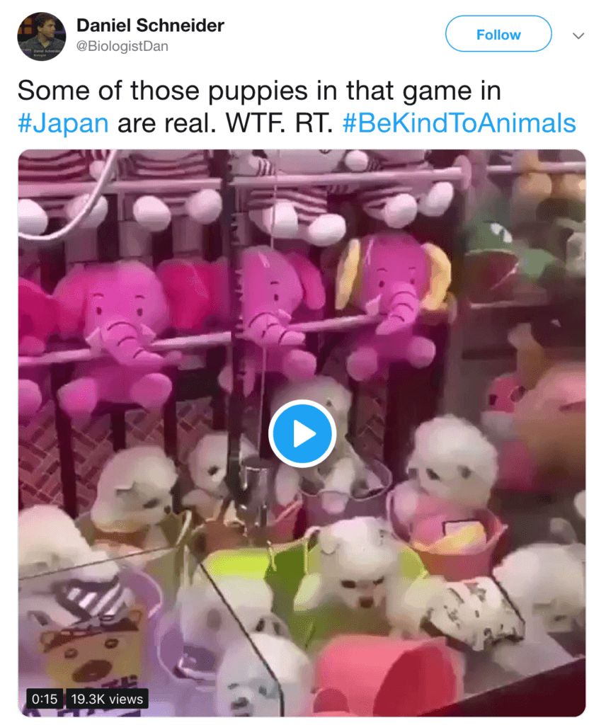 Watch: Poor Puppies Being Used As Prize Gifts For A Claw Machine ...