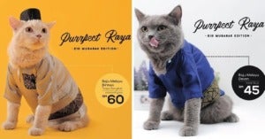 You Can Actually Get Cute Baju Raya For Your Cats Including Songkok at ...