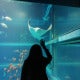The Real Baby Shark? Indonesian Fisherman Finds Shark Pup With Eerie ...