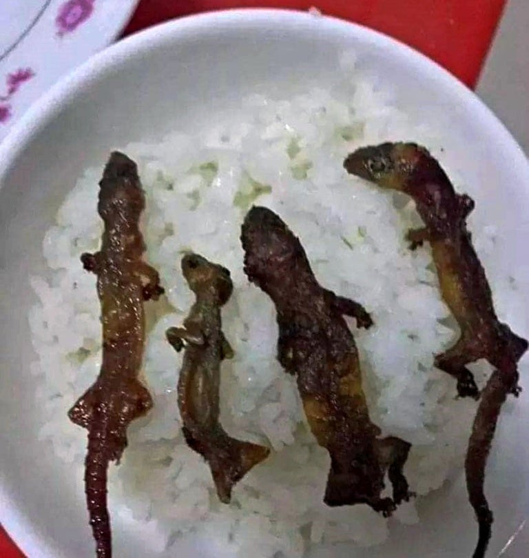 Roasted 'Lizard Rice Bowls' are Very Popular In Indonesia & Netizens ...