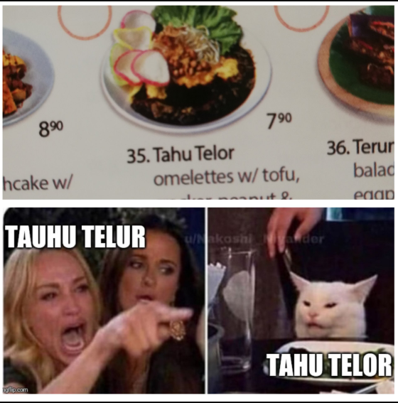 The Confused Cat is Getting 'Creative' Signs Wrong, & Here Are The 15 ...