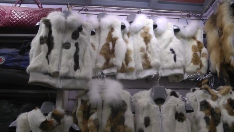 China Has Been Eating Cats And Turning Them Into Accessories, Here's ...