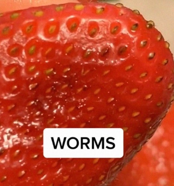 Viral TikTok Videos Reveal How Worms Are In Your Strawberries, Here's ...