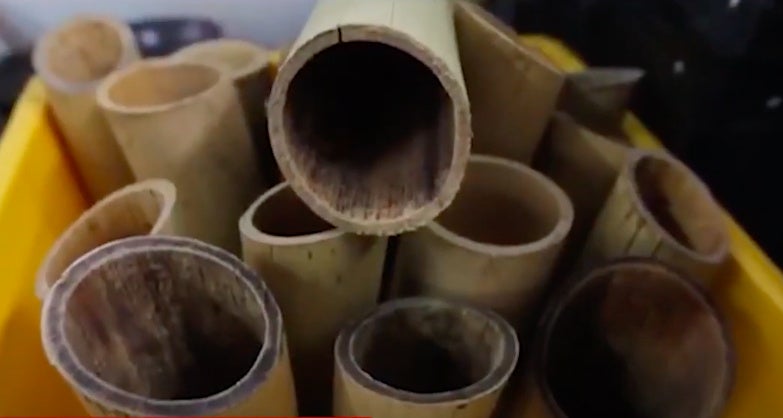 Cockroach Infested Bamboo Biryani Kitchen In Penang Ordered To Close ...