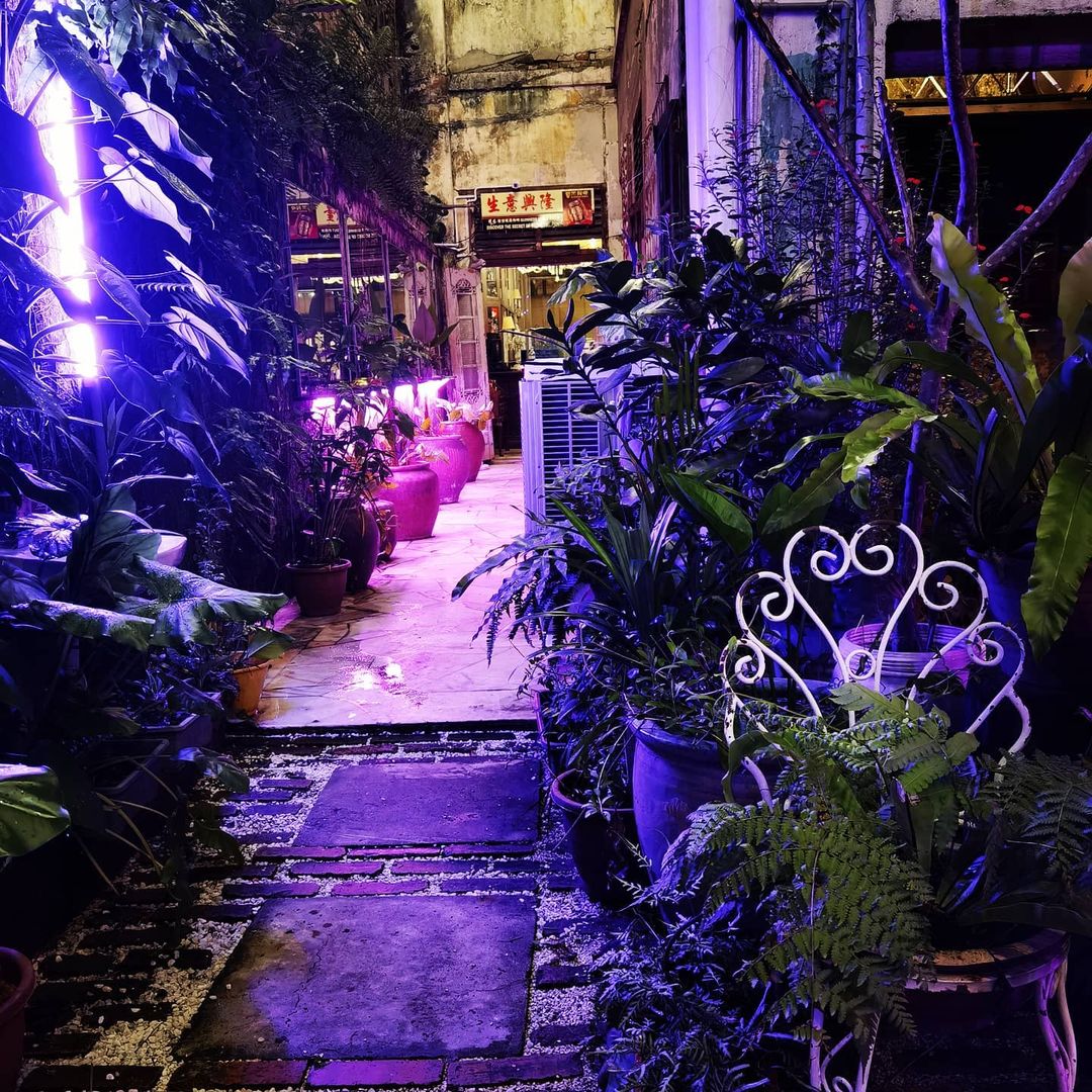 This Hidden Bar In KL Will Transport You To An Enchanted Garden ...