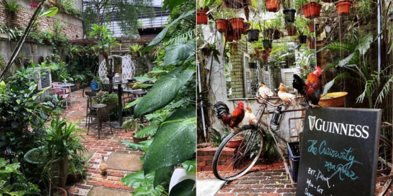 This Hidden Bar In KL Will Transport You To An Enchanted Garden ...