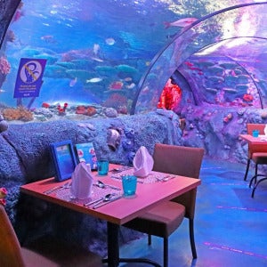 Eat With The Sea Creatures in Malaysia's First Underwater Pop-Up ...
