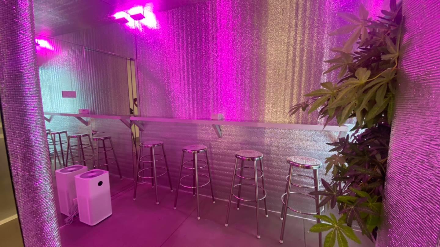 Bangkok Opens Its First Cannabis Bar! - WORLD OF BUZZ