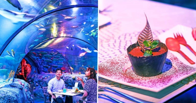 Eat With The Sea Creatures in Malaysia's First Underwater Pop-Up ...