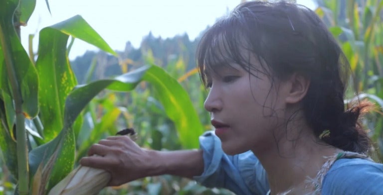 Chinese YouTuber Sets World Record After Reaching 14.2mil Subscribers ...