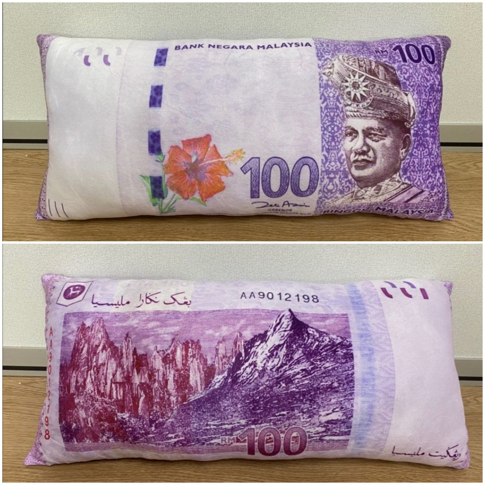 Want Money Dreams? You Can Now Cuddle And Sleep With These "Money ...