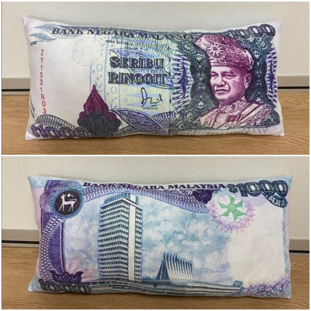 Want Money Dreams? You Can Now Cuddle And Sleep With These "Money ...