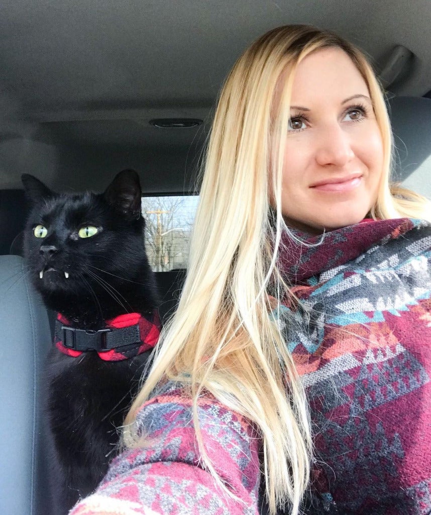 Dra-catto Is That You? This Rescue Cat Goes Viral For His Vampire-Like ...