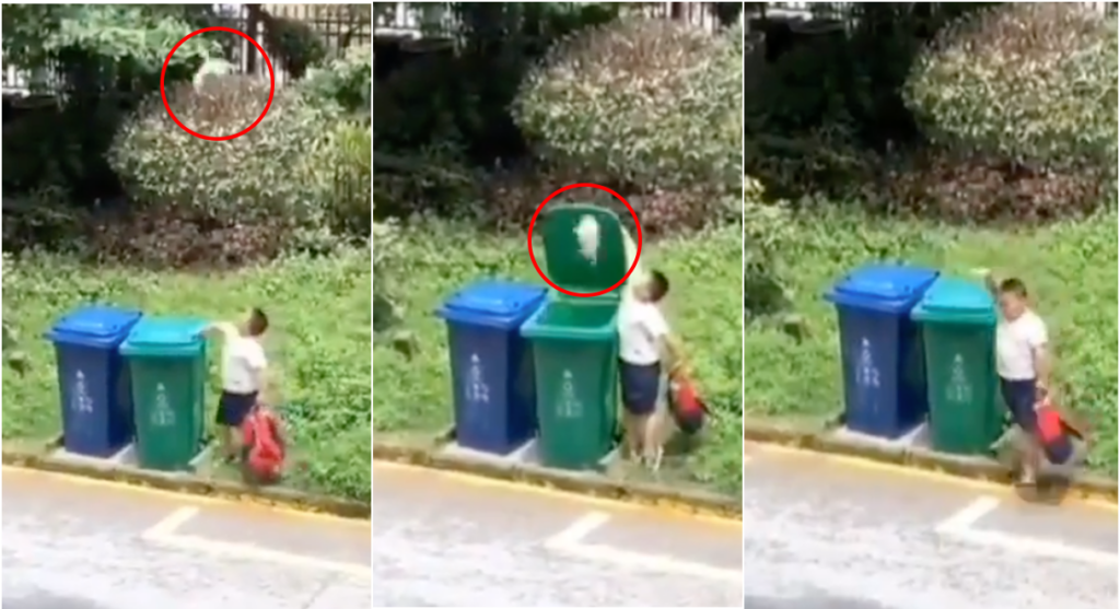 Watch: Cool Adik Pulls Off Awesome Trick While Throwing Trash In ...