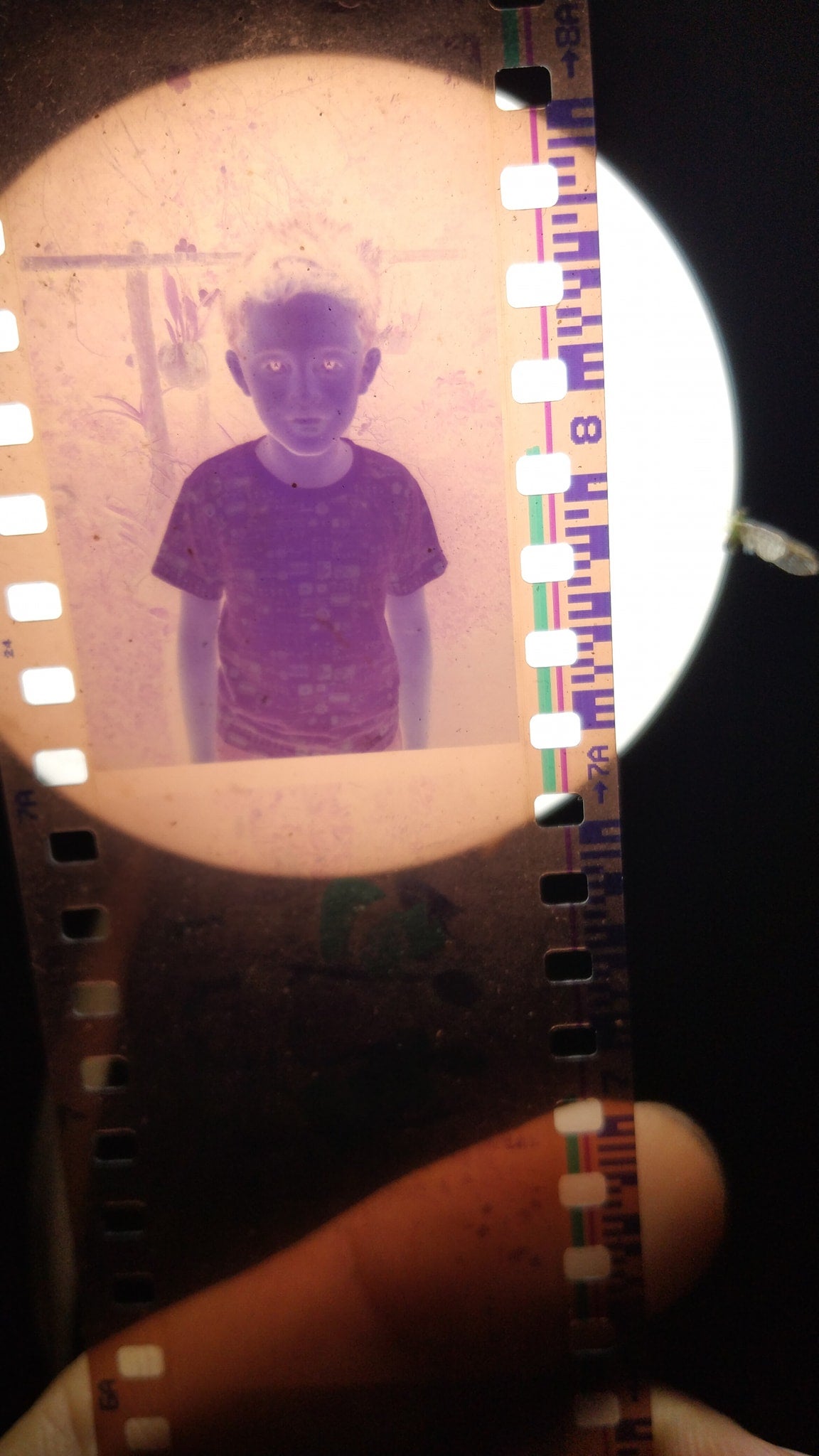 Here's How To 'Develop' Negative Films By Yourself At Home Using These ...