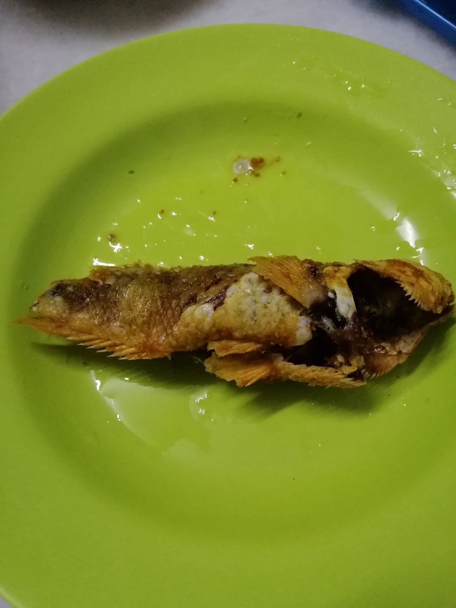 M'sian Mother Shares How Her 12yo Son Cooked Her Dead Pet Fish & Ate It ...
