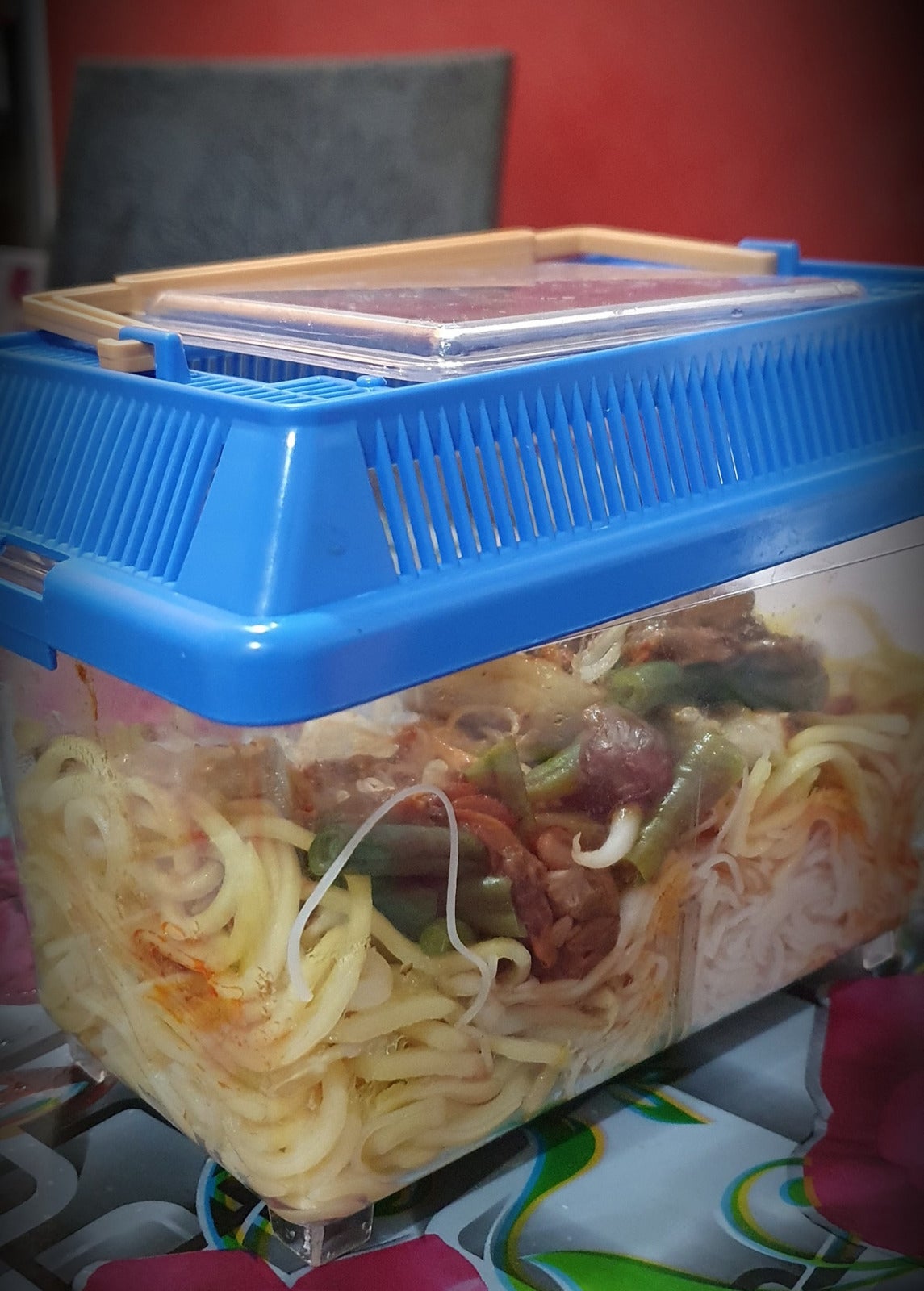 M'sian Uncle Brings Plastic Fish Tank To Tapau Curry Mee From Hawker ...