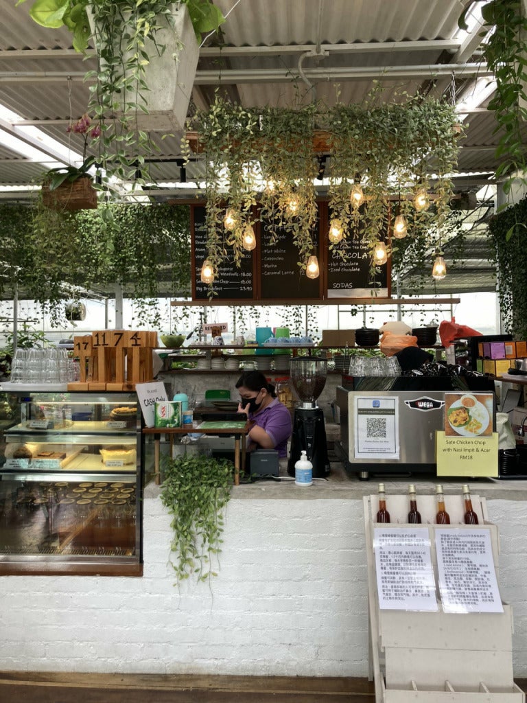 Dine In Among Some Of The Most Beautiful Orchids At This Insta-Worthy ...