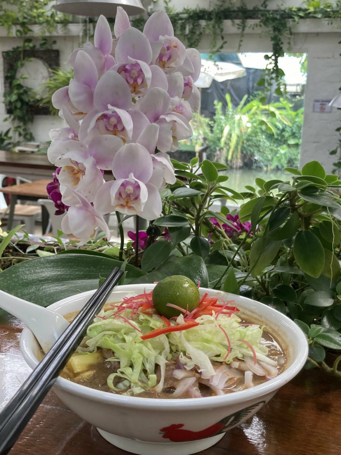 Dine In Among Some Of The Most Beautiful Orchids At This Insta-Worthy ...