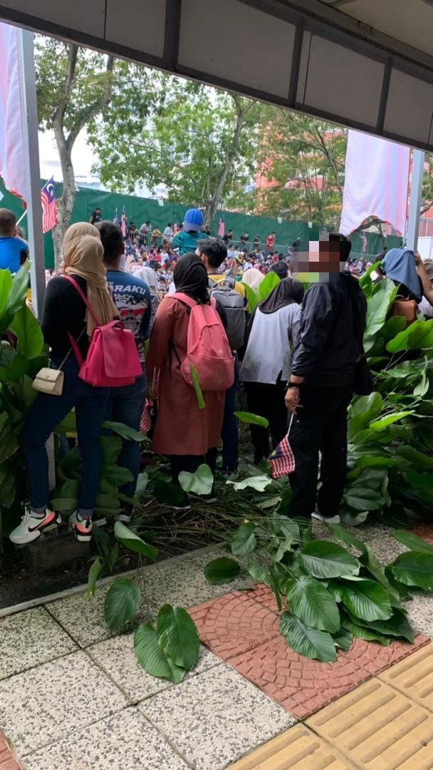 WATCH: DBKL Scolds M'sians For Destroying Gorgeous Plants Around ...
