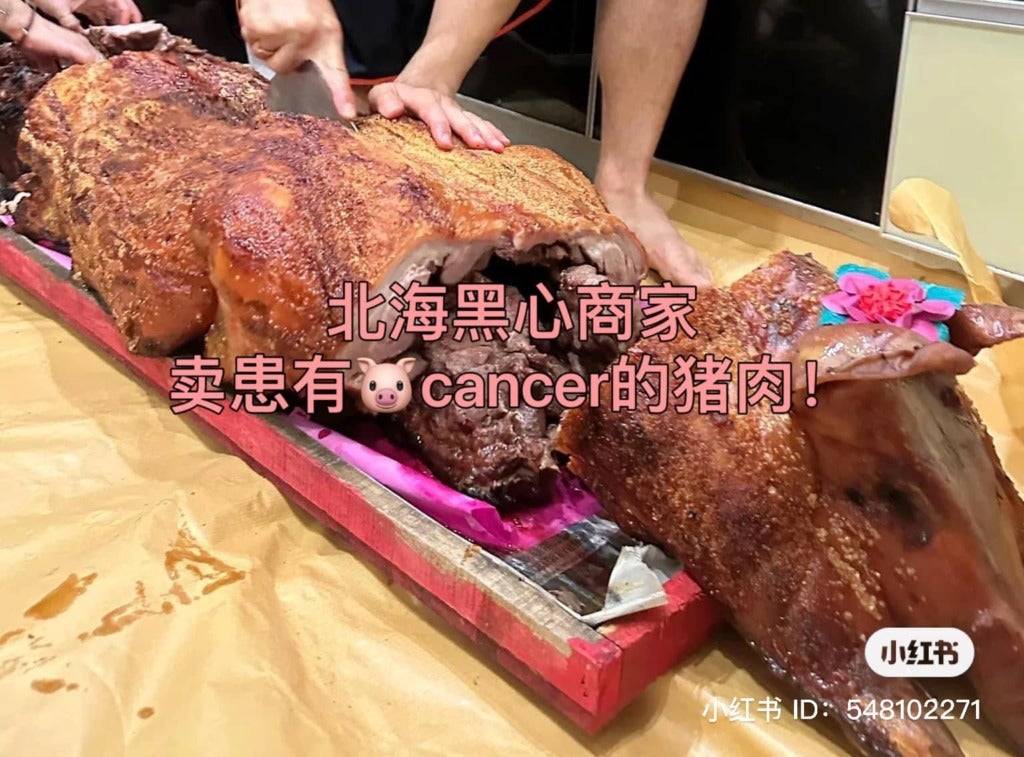 Penang Family Warns Others to be Careful After Buying "Cancerous" Pork ...