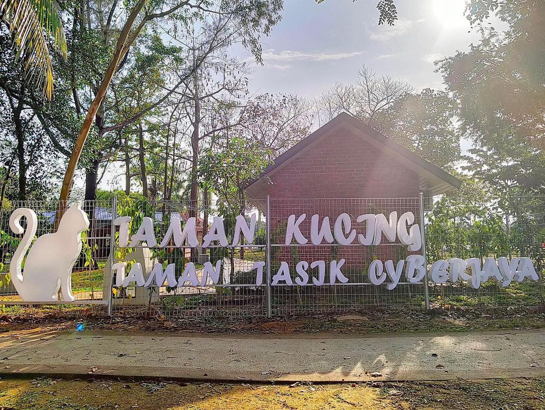 Cat Lovers Rejoice! Taman Kucing Cyberjaya Lets You Play With Adorable ...