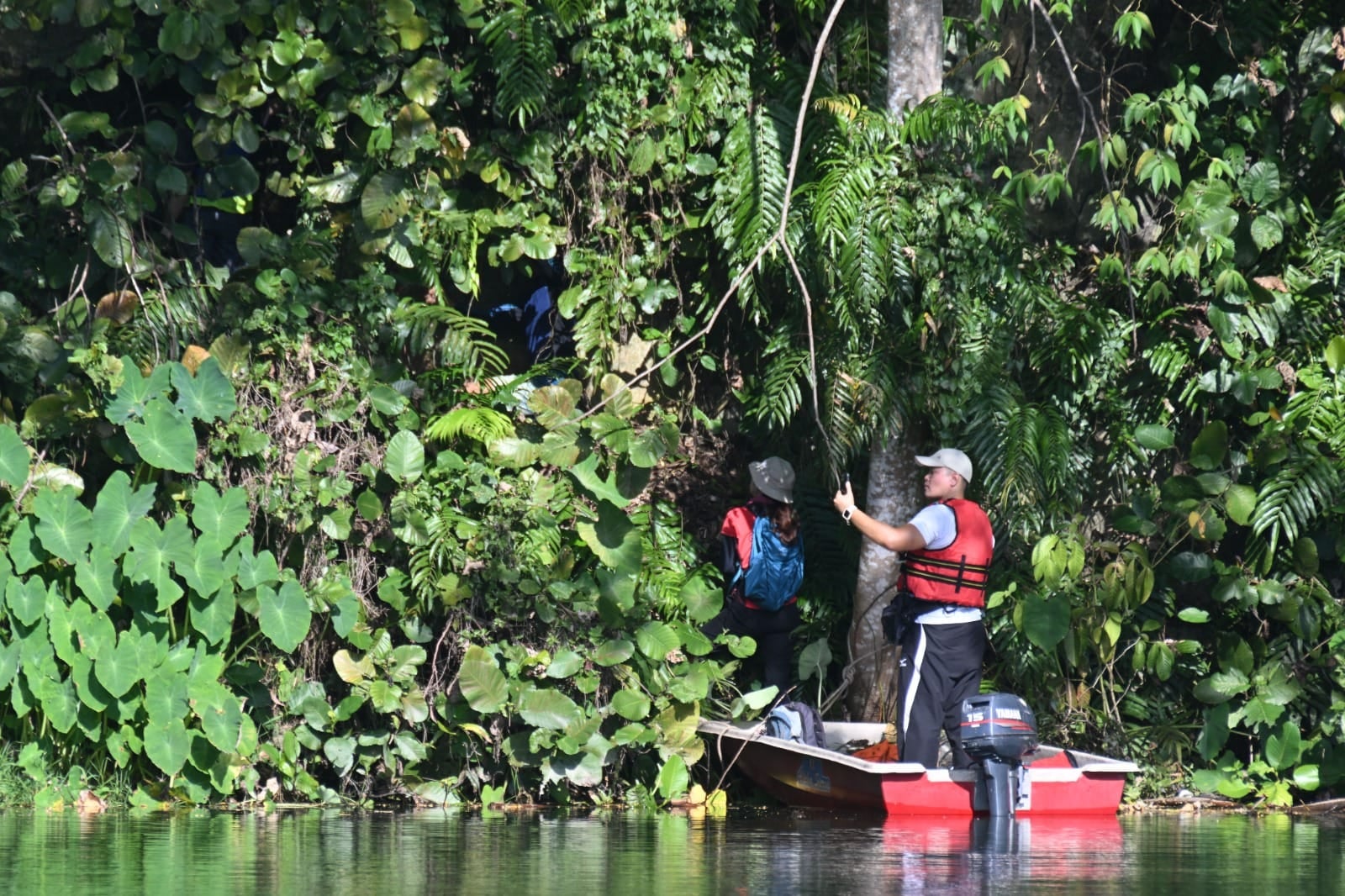 These Heroic Malaysians Band Together To Save a Poor Dog Stuck on a ...