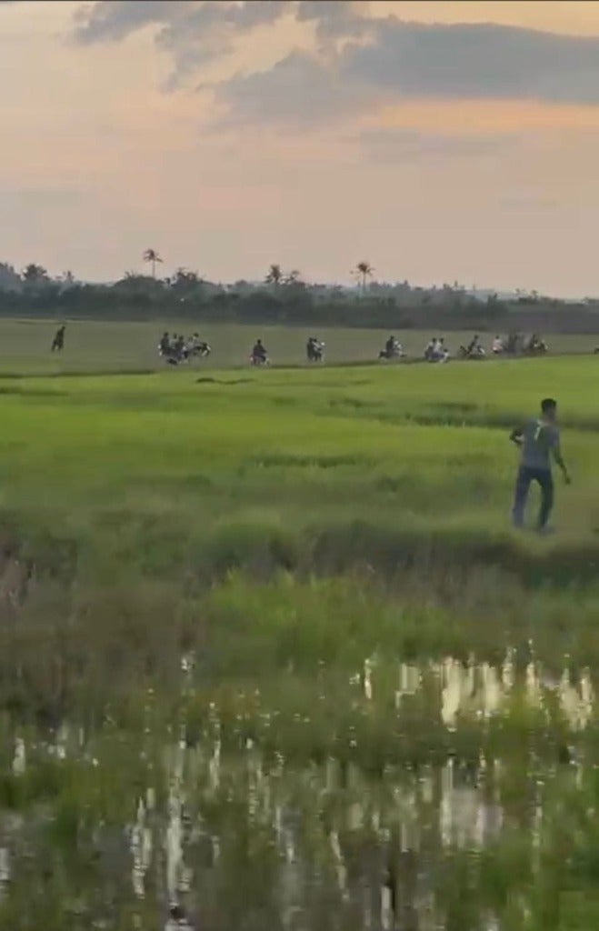 Mat Rempits Aged Between 11 & 22 Try to Flee PDRM Kedah via Paddy ...