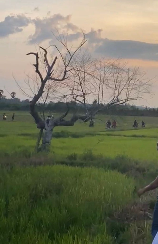 Mat Rempits Aged Between 11 & 22 Try to Flee PDRM Kedah via Paddy ...