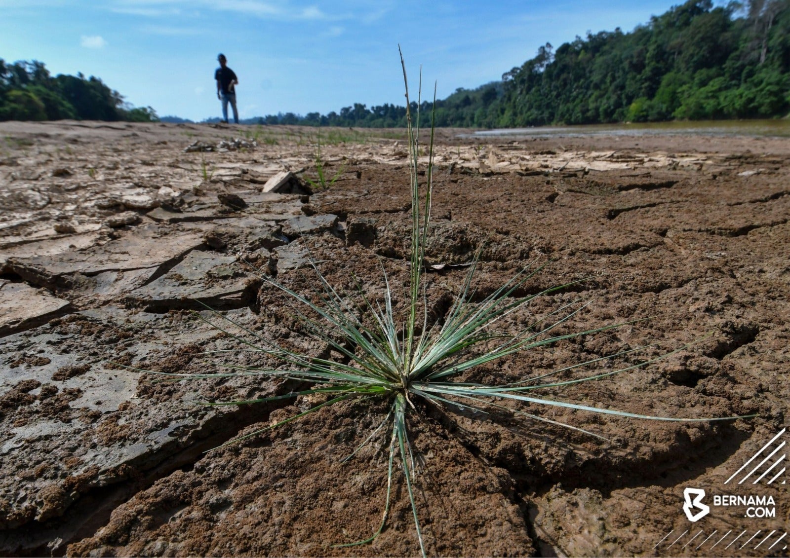 Kelantan River Almost Completely Dries Up Due to Extremely Hot Weather ...