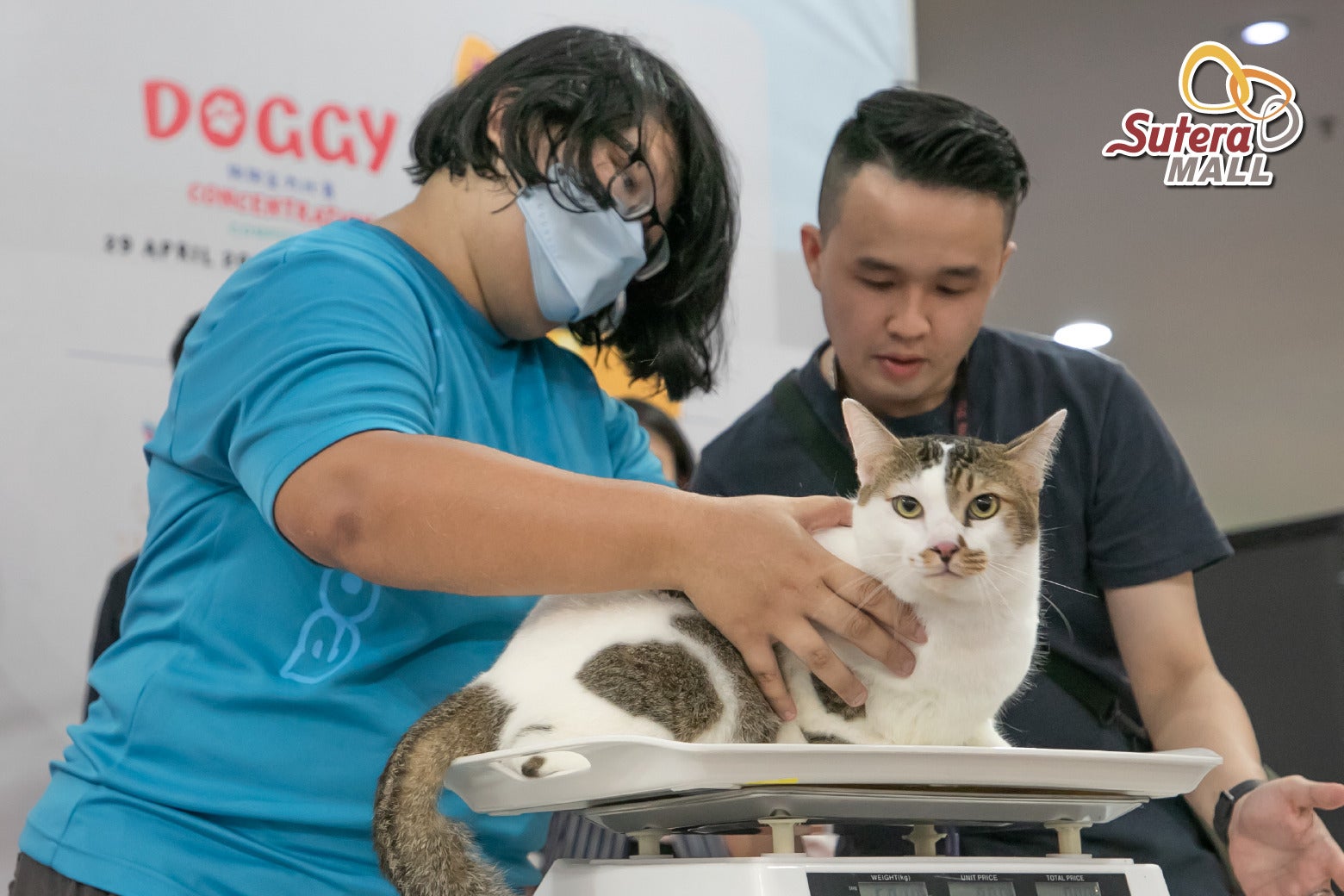 This Johor Bahru Mall Held a Fat Cat Competition & The Results are ...