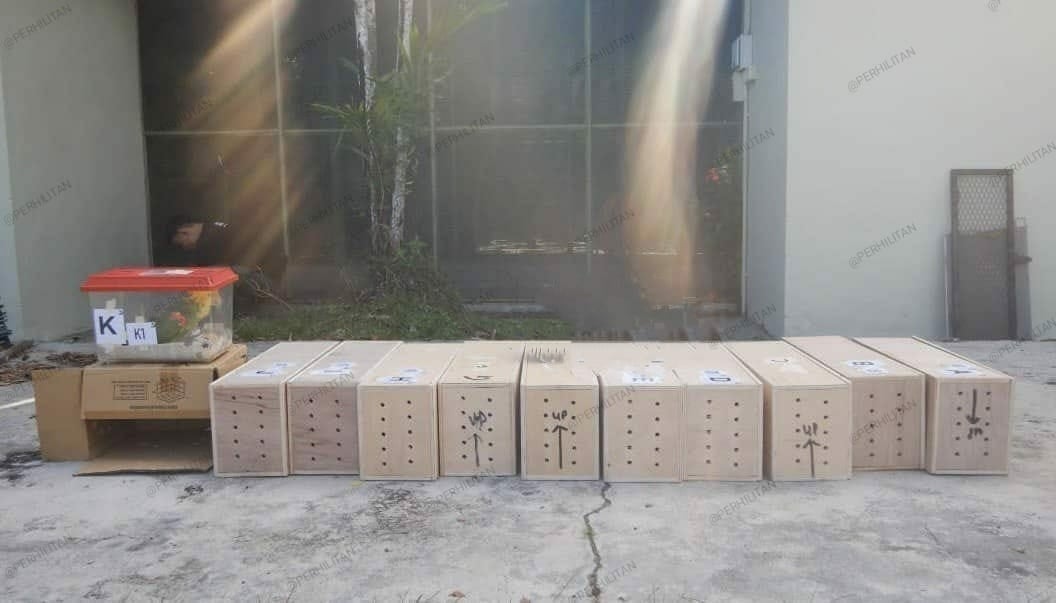 S'porean Sentenced to 7 Days in Jail & RM80k Fine for Trying to Smuggle ...