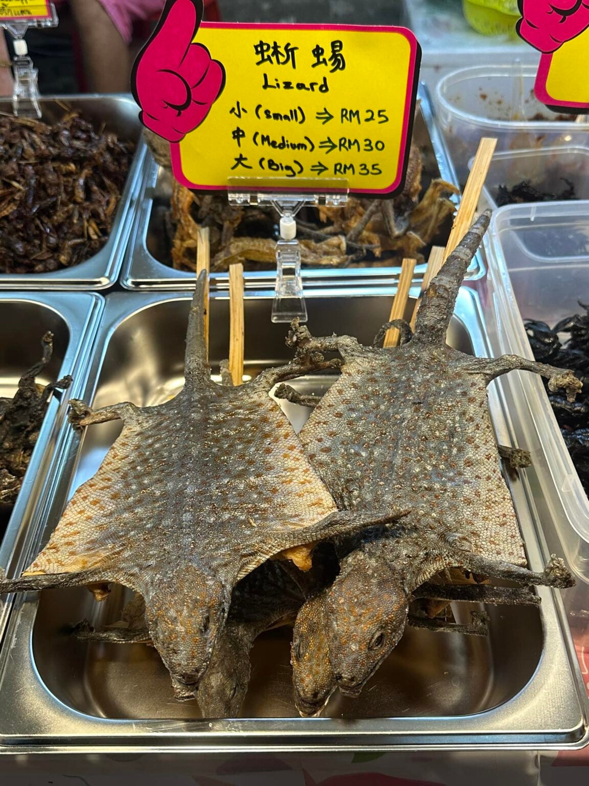 "Lizards, scorpions, bugs" - Night Market Vendor in JB Goes Viral for ...