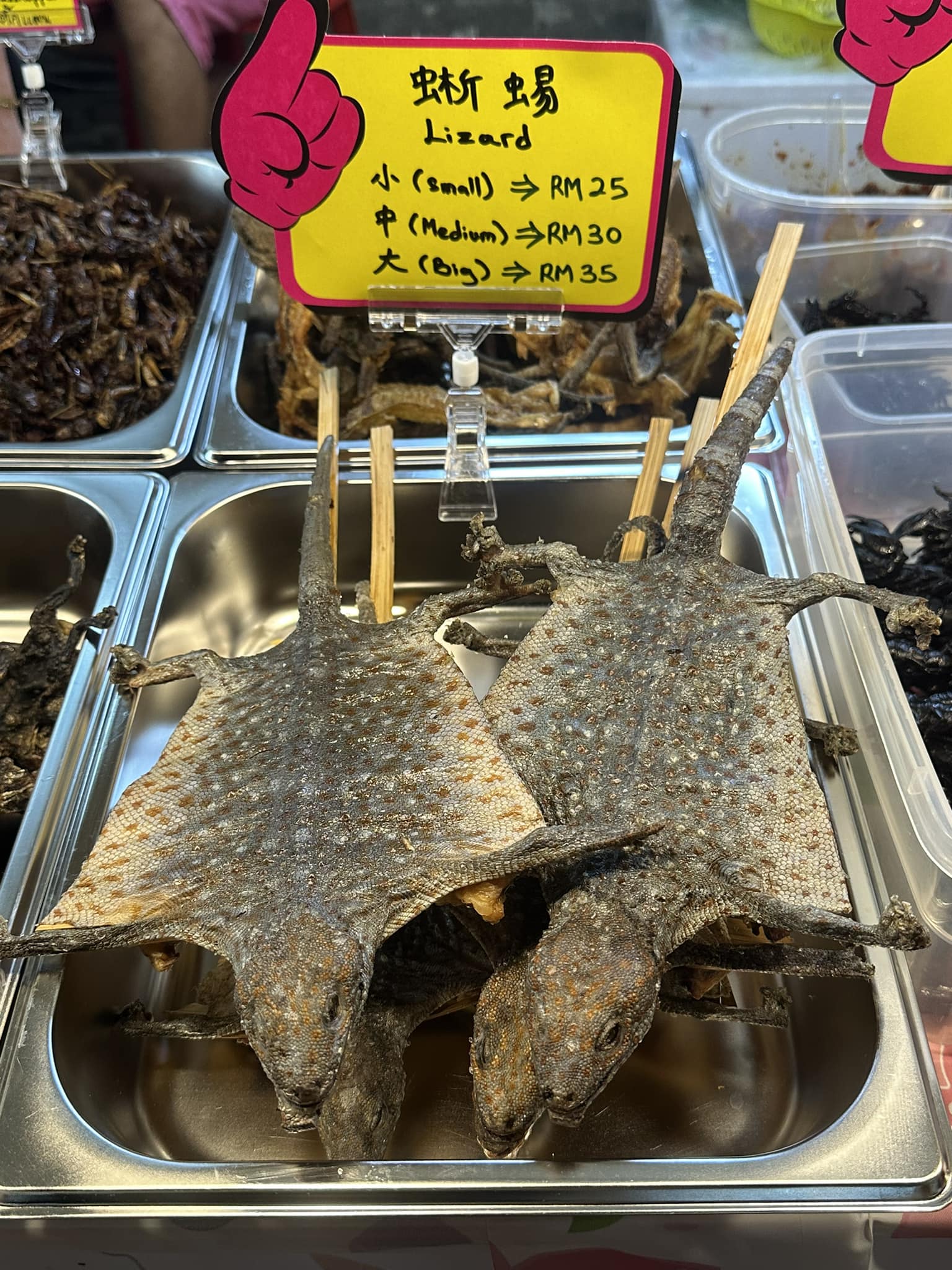 "Lizards, scorpions, bugs" - Night Market Vendor in JB Goes Viral for ...