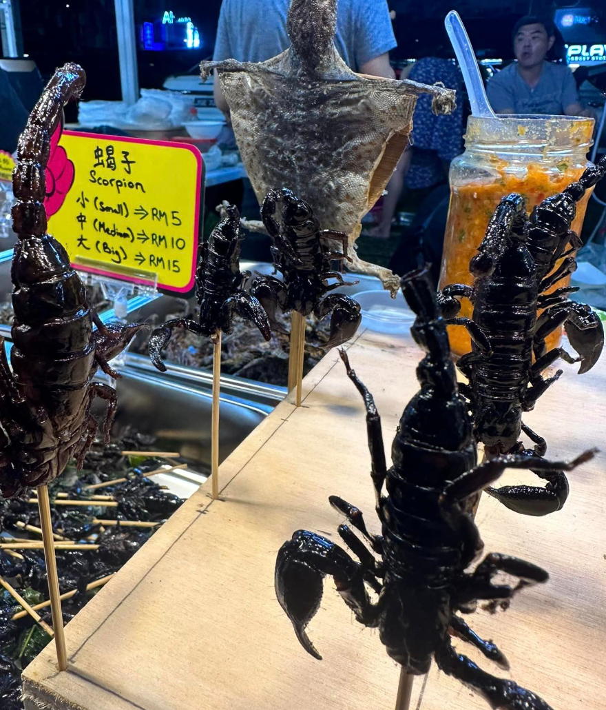 "Lizards, scorpions, bugs" - Night Market Vendor in JB Goes Viral for ...