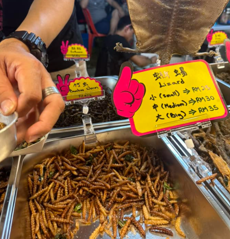 "Lizards, scorpions, bugs" - Night Market Vendor in JB Goes Viral for ...