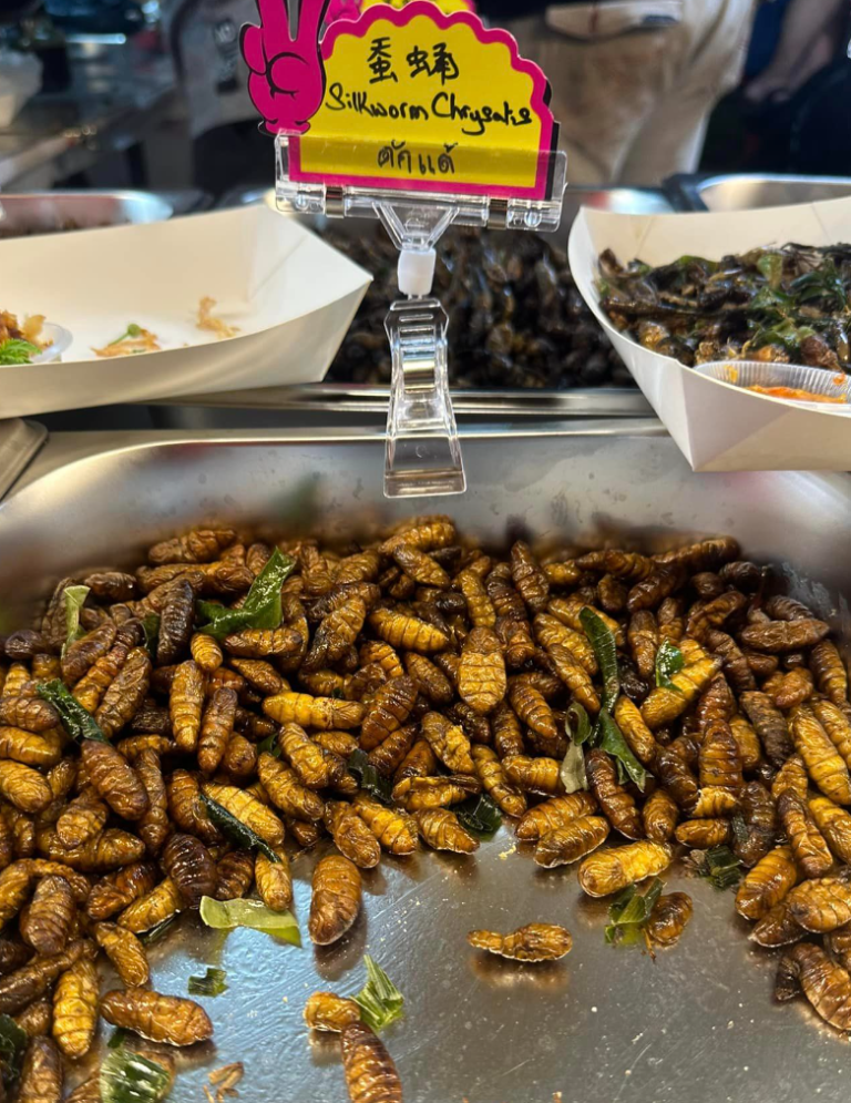 "Lizards, scorpions, bugs" - Night Market Vendor in JB Goes Viral for ...