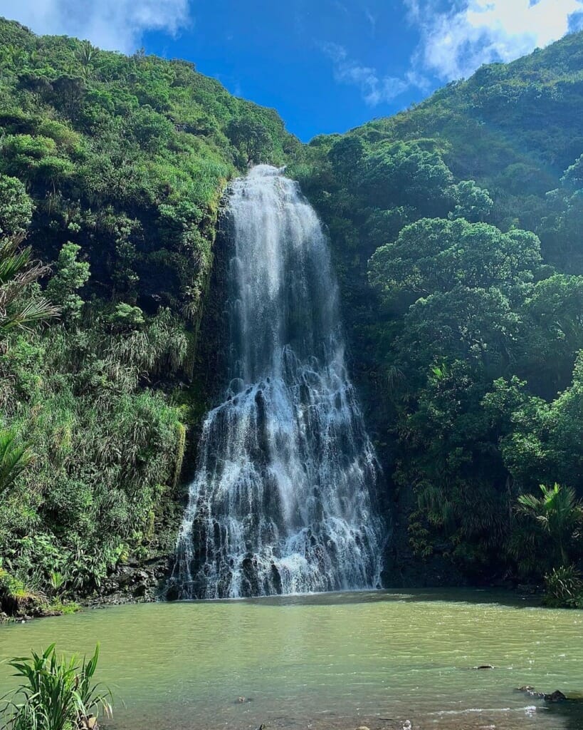 5 Hidden Gems in Auckland Perfect For Adventurous M'sian Couples! - WORLD OF BUZZ